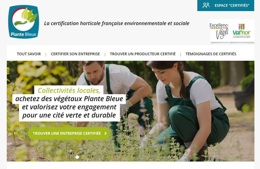 Plante Bleue 3 - HVE - Fleurs de France - Certifications du Végétal